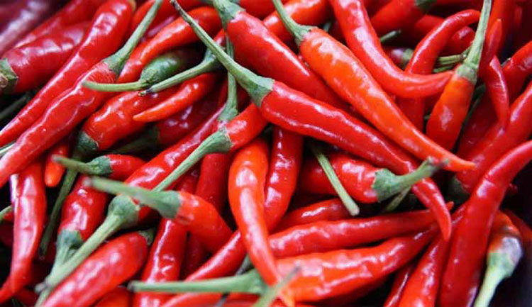 Red Chili keeps Healthy- from Weight Loss to Heart, know what are the ...
