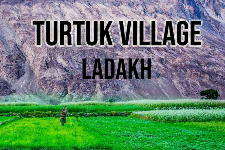 Turtuk: A Beautiful Village in Ladakh, Where a Visit will Give you a ...