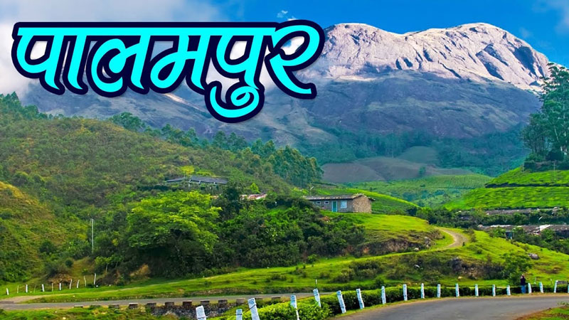 Palampur is Situated in the Lap of Nature, it has Amazing Places to ...