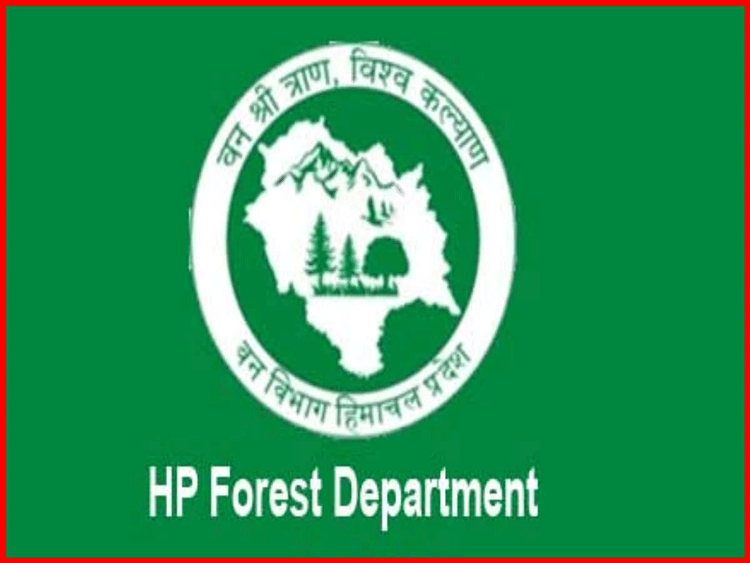 Posts should be filled in Forest Department soon - Himtimes
