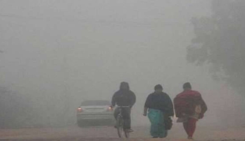 Cold wave grips Himachal, fog worsens situation in plains - Himtimes